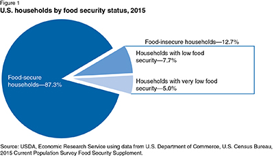 Food insecurity declines, but 1.5 million Texas households still at risk