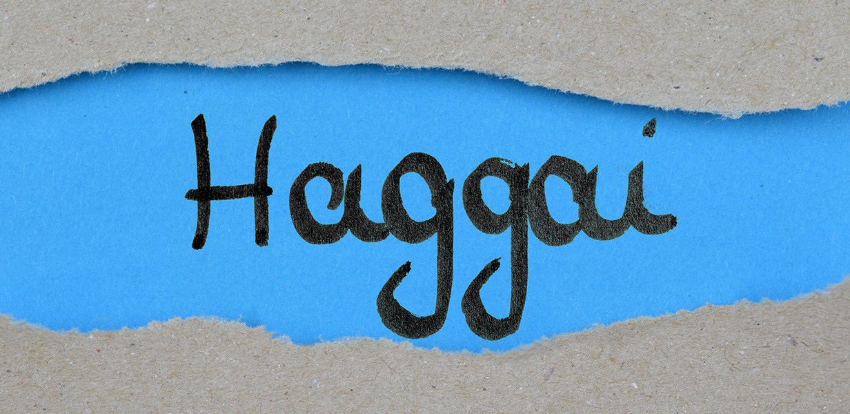 Voices: Not-so-Minor Prophets: Haggai