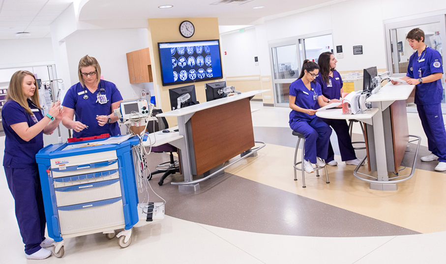 Around the State: UMHB creates College of Health Sciences