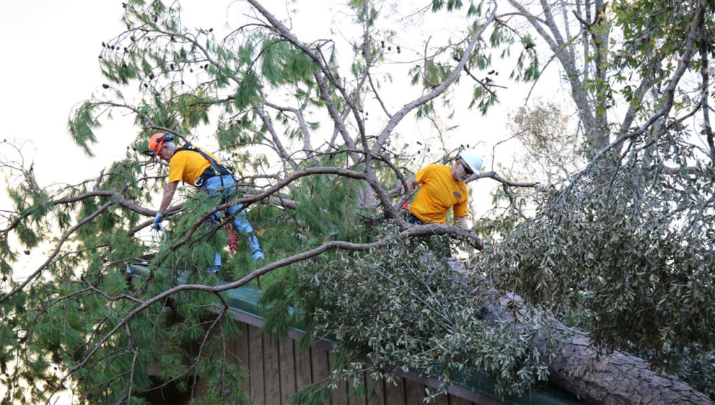TBM disaster relief continues in northwest Florida