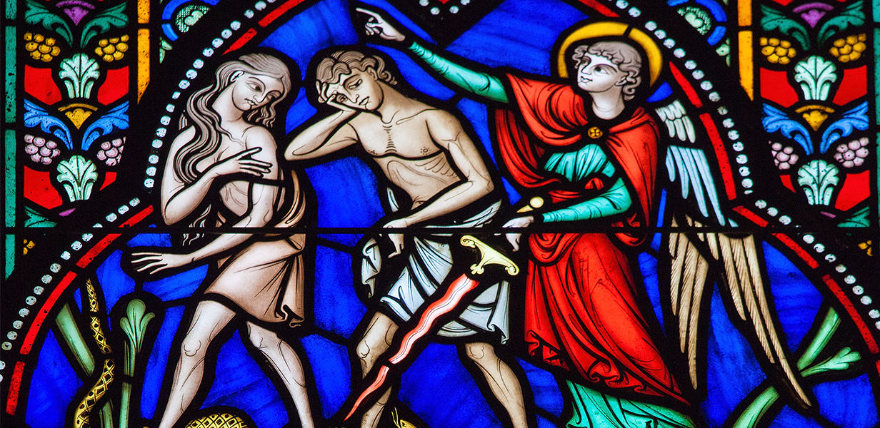 Voices: Genesis: God’s purpose vs. the modern world