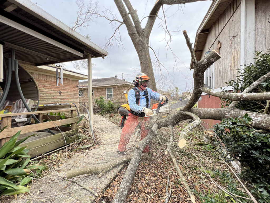 Training important for TBM chainsaw crews