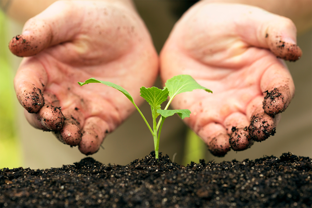 Editorial: Weed pulling: You have to be careful with metaphors