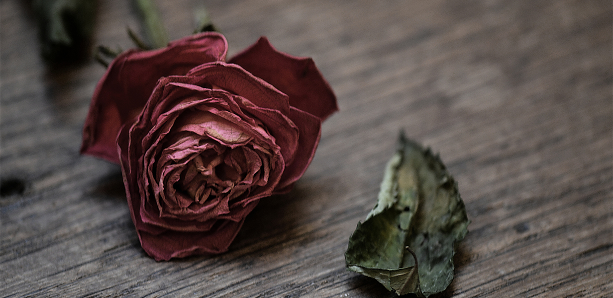 Voices: Sorrowful, yet always rejoicing